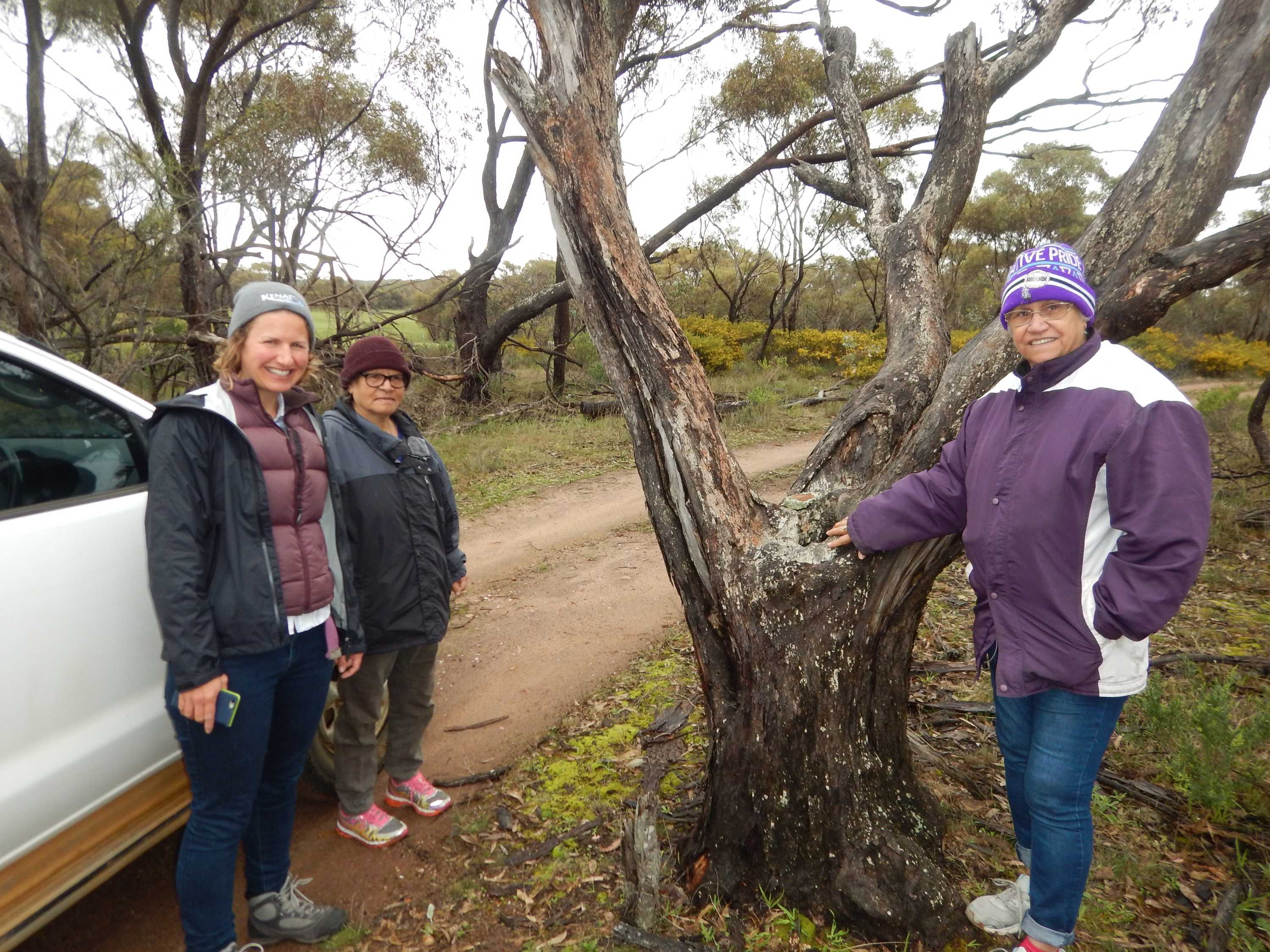 Linking modern science with Indigenous knowledge to care for the land ...