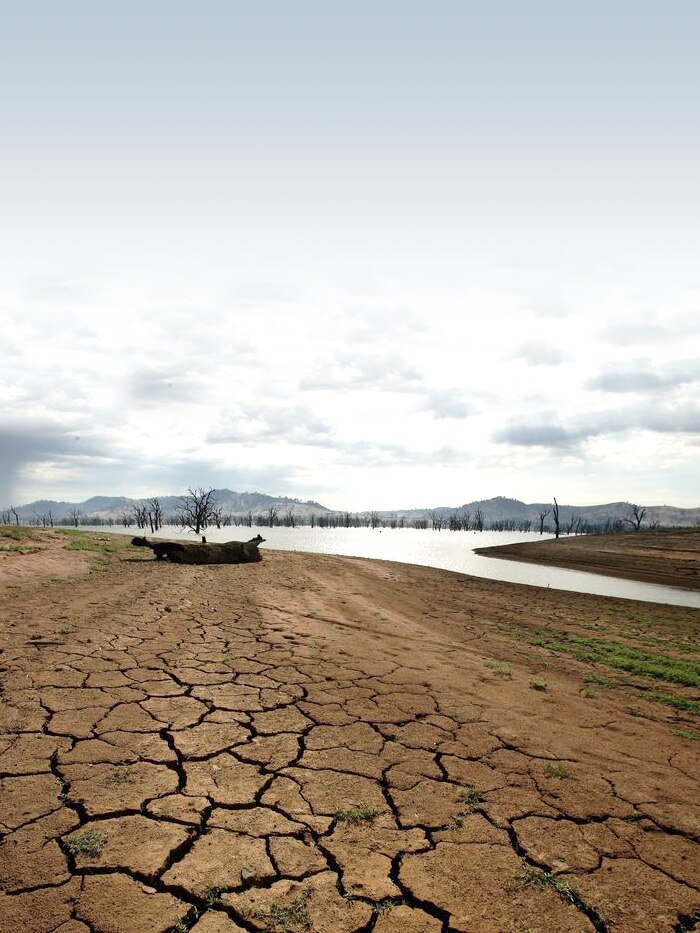 Mixed results expected in MDBA draft plan - ABC News