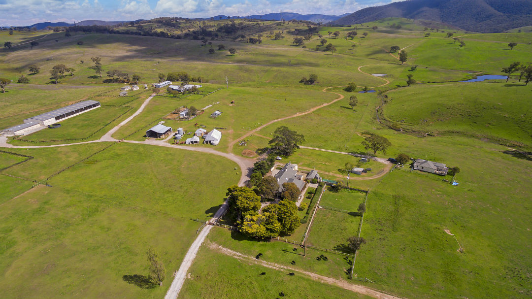 Racing NSW plan to stop thoroughbreds going to the knackers challenges ...