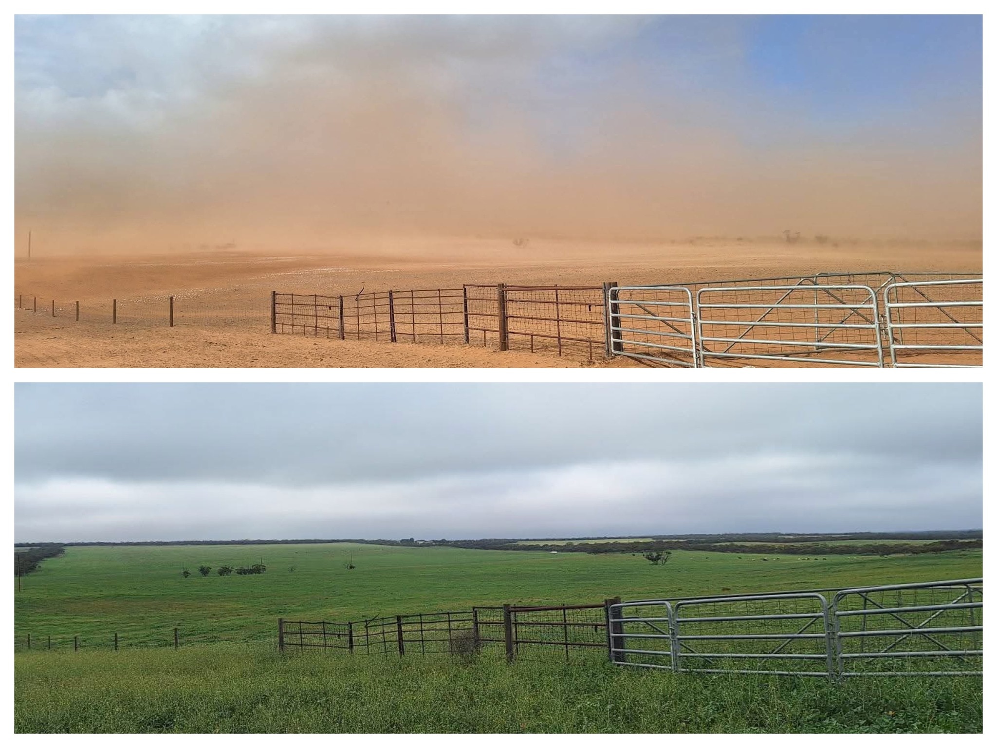 Record autumn rain sparks recovery across South Australia, but not all ...