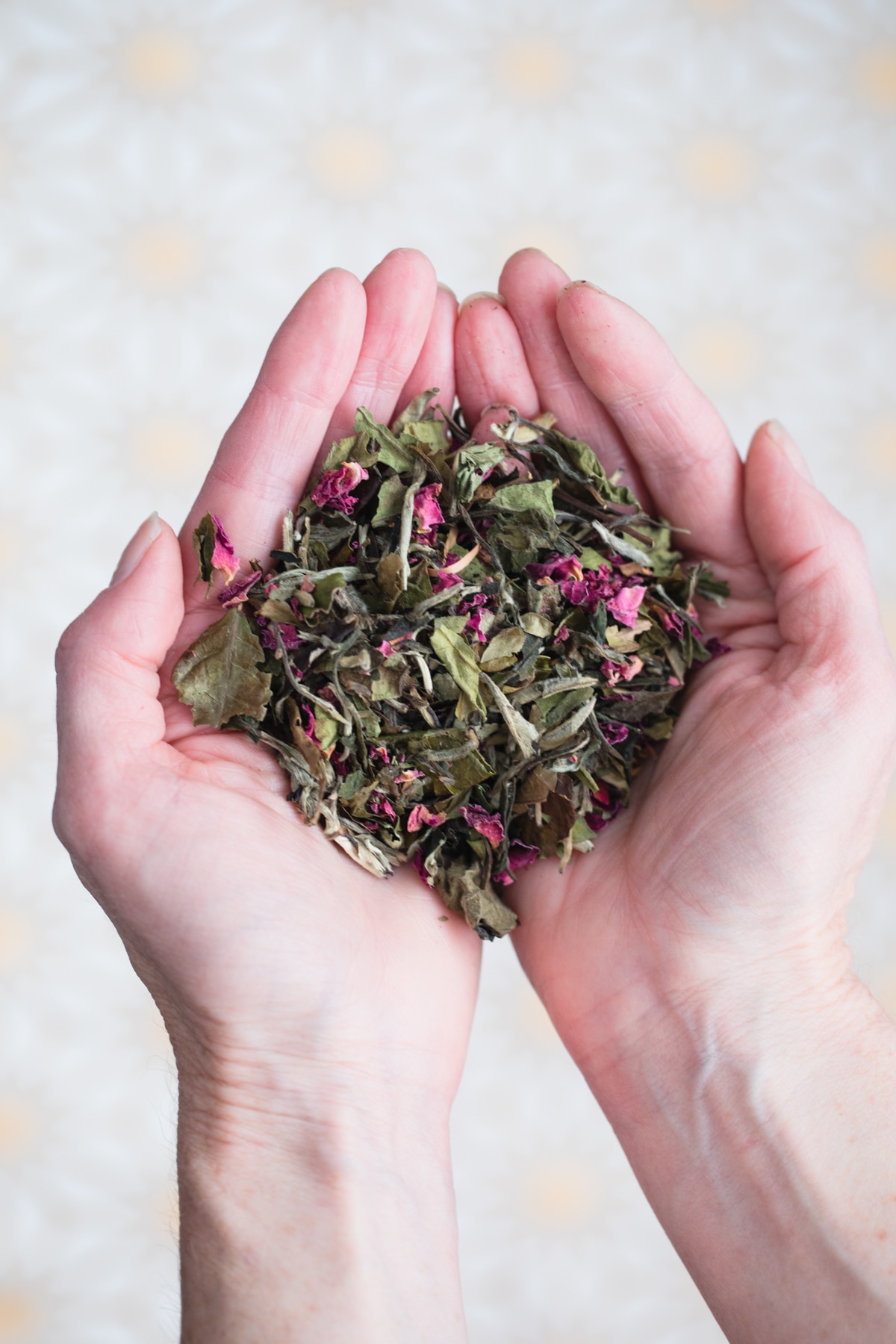 Adelaide tea maker creates blends using surplus leaves from fig, grape ...