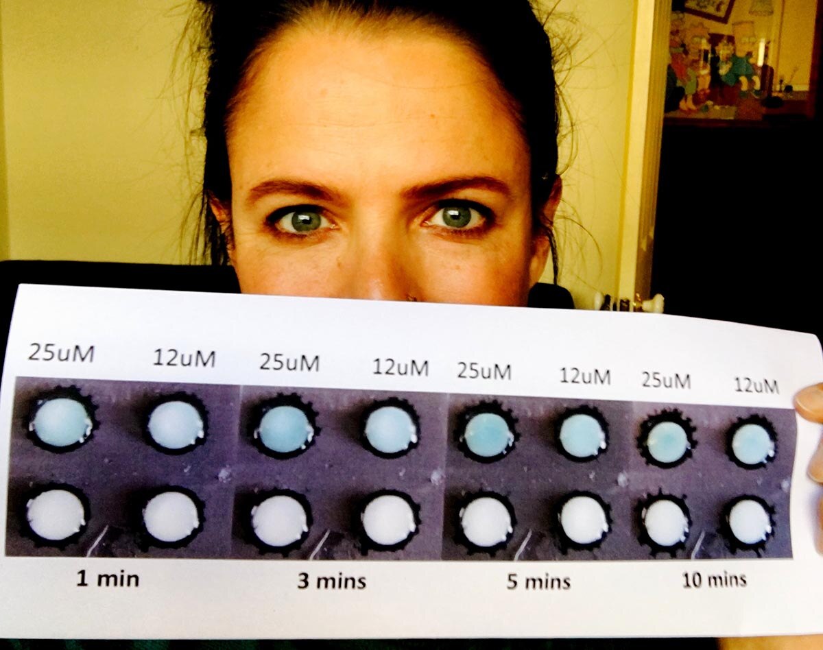 Snow leopard DNA test uses animal's own poo to solve conservation ...