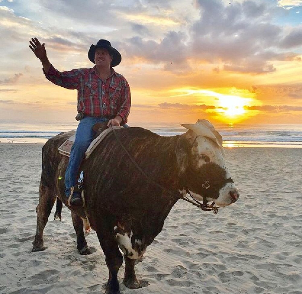 Bulls on the beach lure Gold Coasters to the outback - ABC News