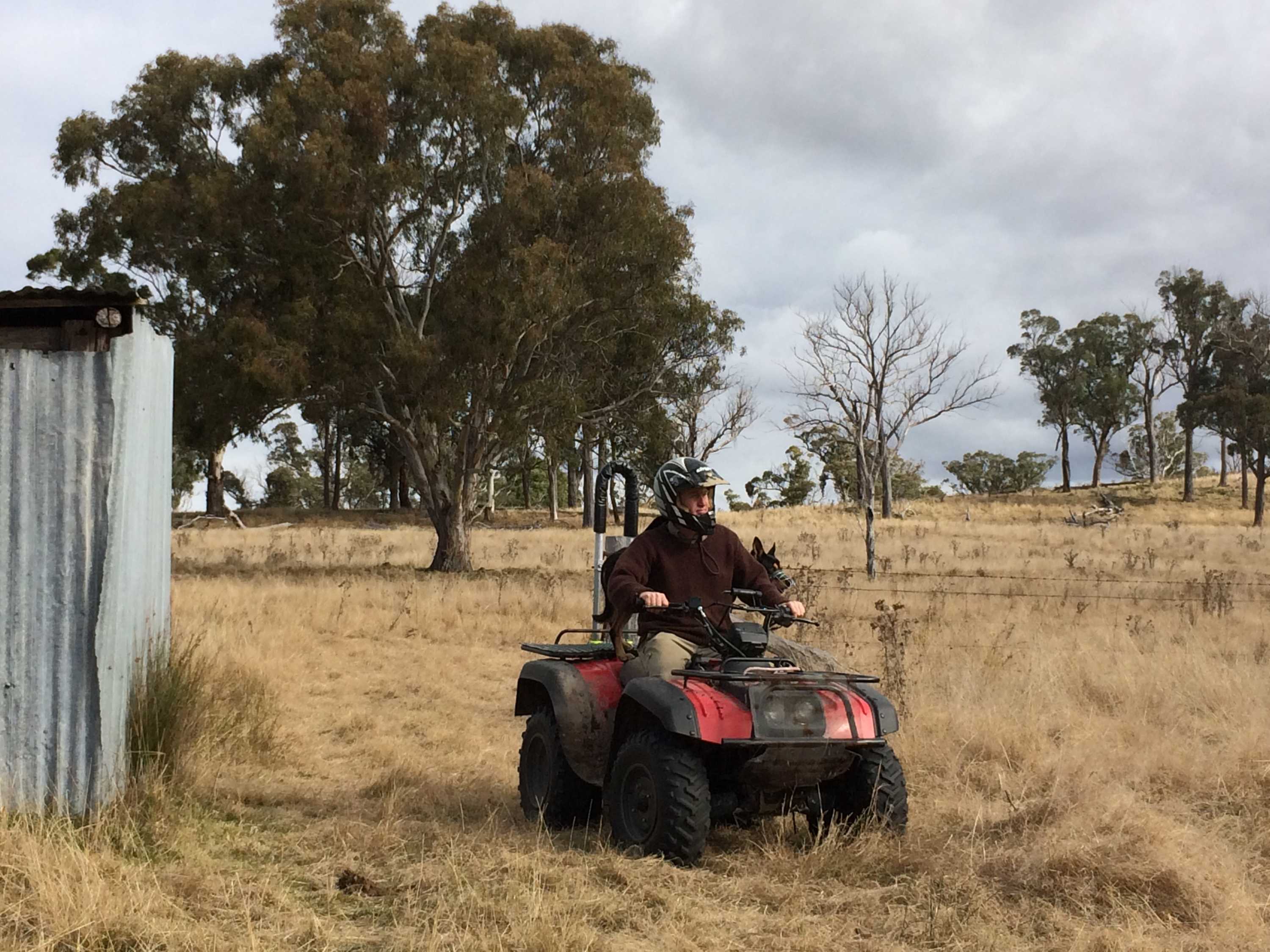 Quad bike safety overhaul backed by grieving families - ABC News