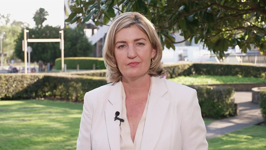 ABC's Jessica van Vonderen asks Health Minister Shannon Fentiman about ...