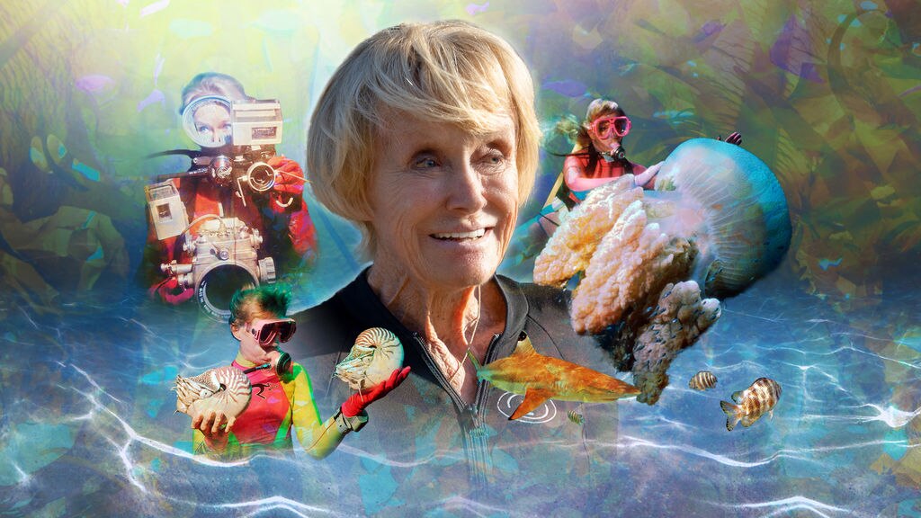 Diving in Deep Part 2 | Valerie Taylor - ABC News