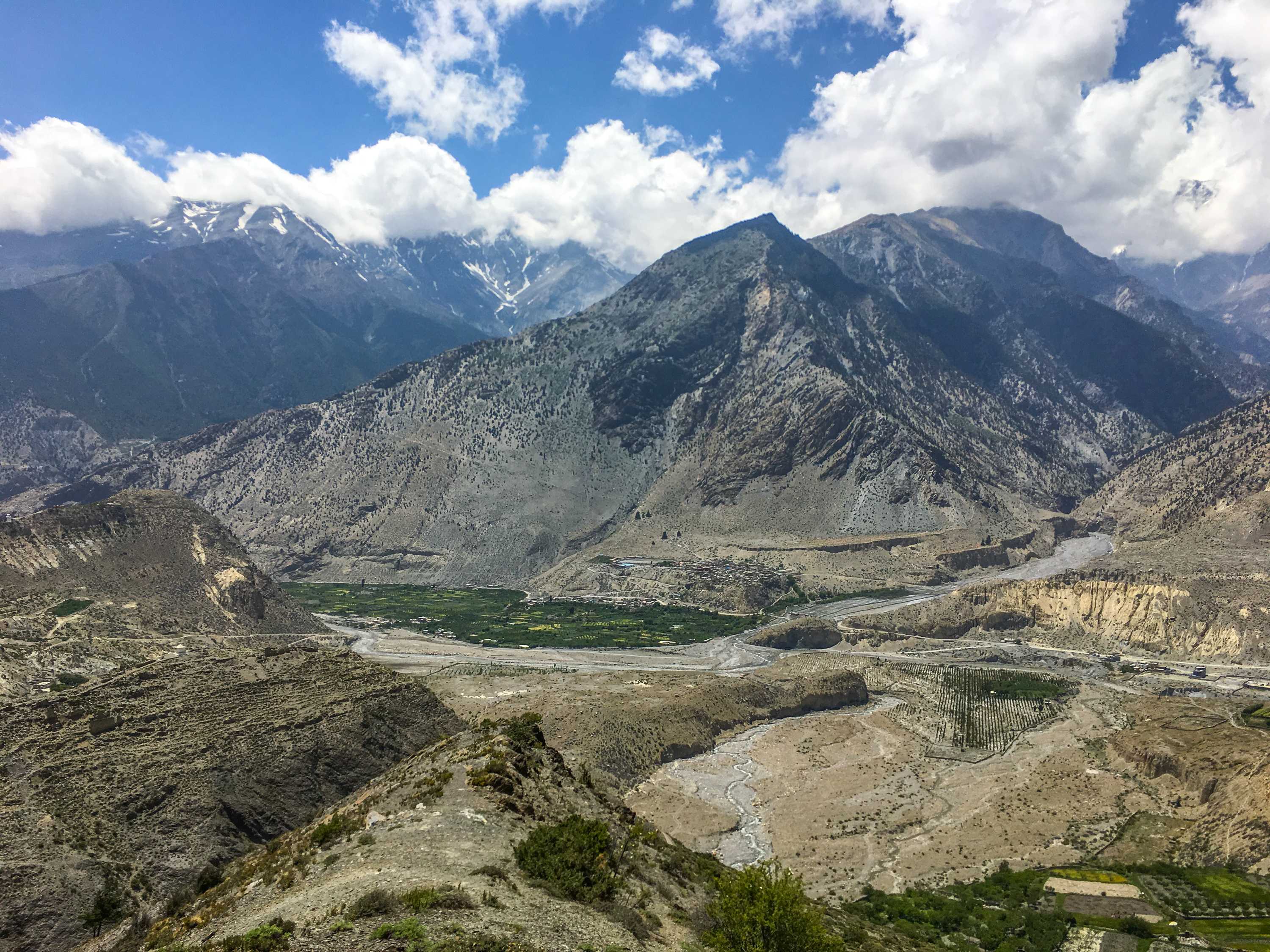 The princely snow leopard and its poo - ABC Radio National
