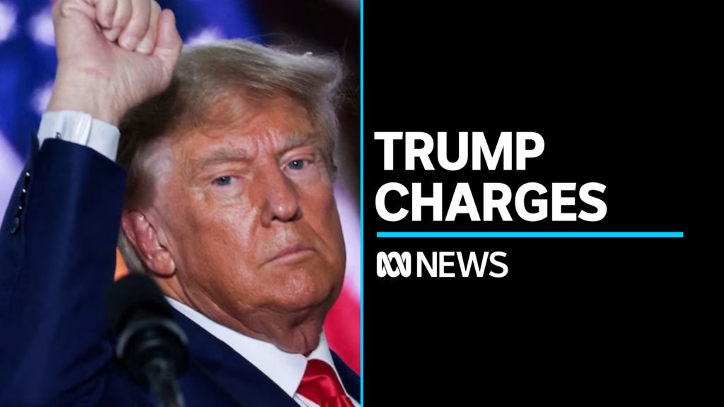 Donald Trump charged with four counts over 2020 election - ABC News