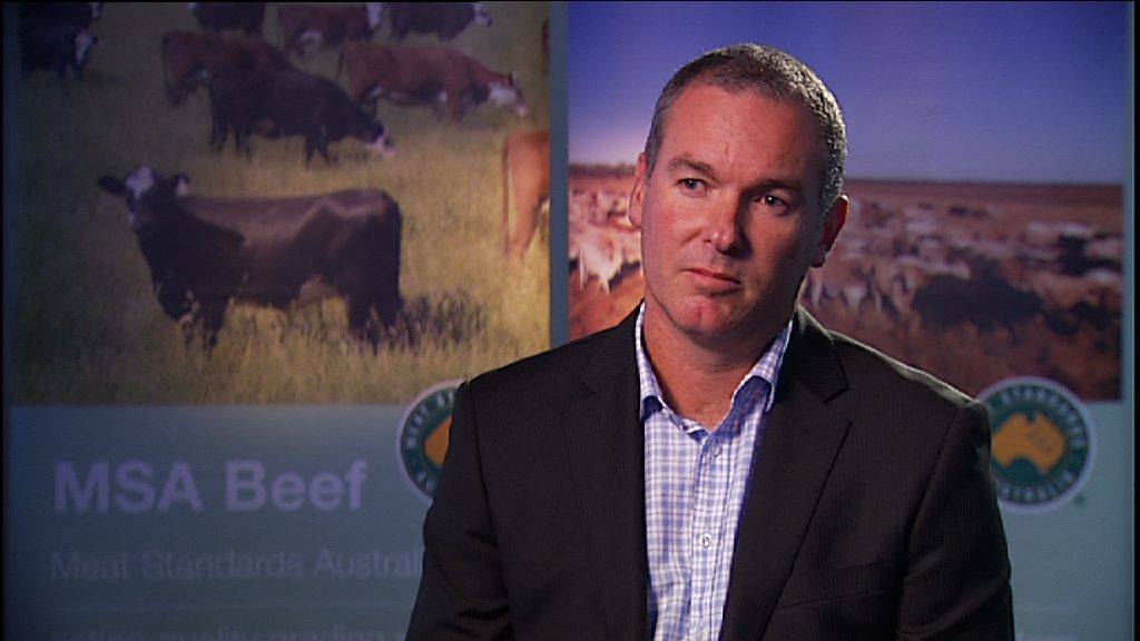 Scott Hansen Interview - ABC News