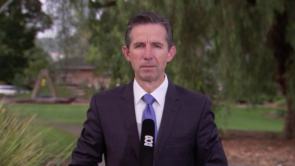 Simon Birmingham says Penny Wong's comments 'dangerous' on two-state ...