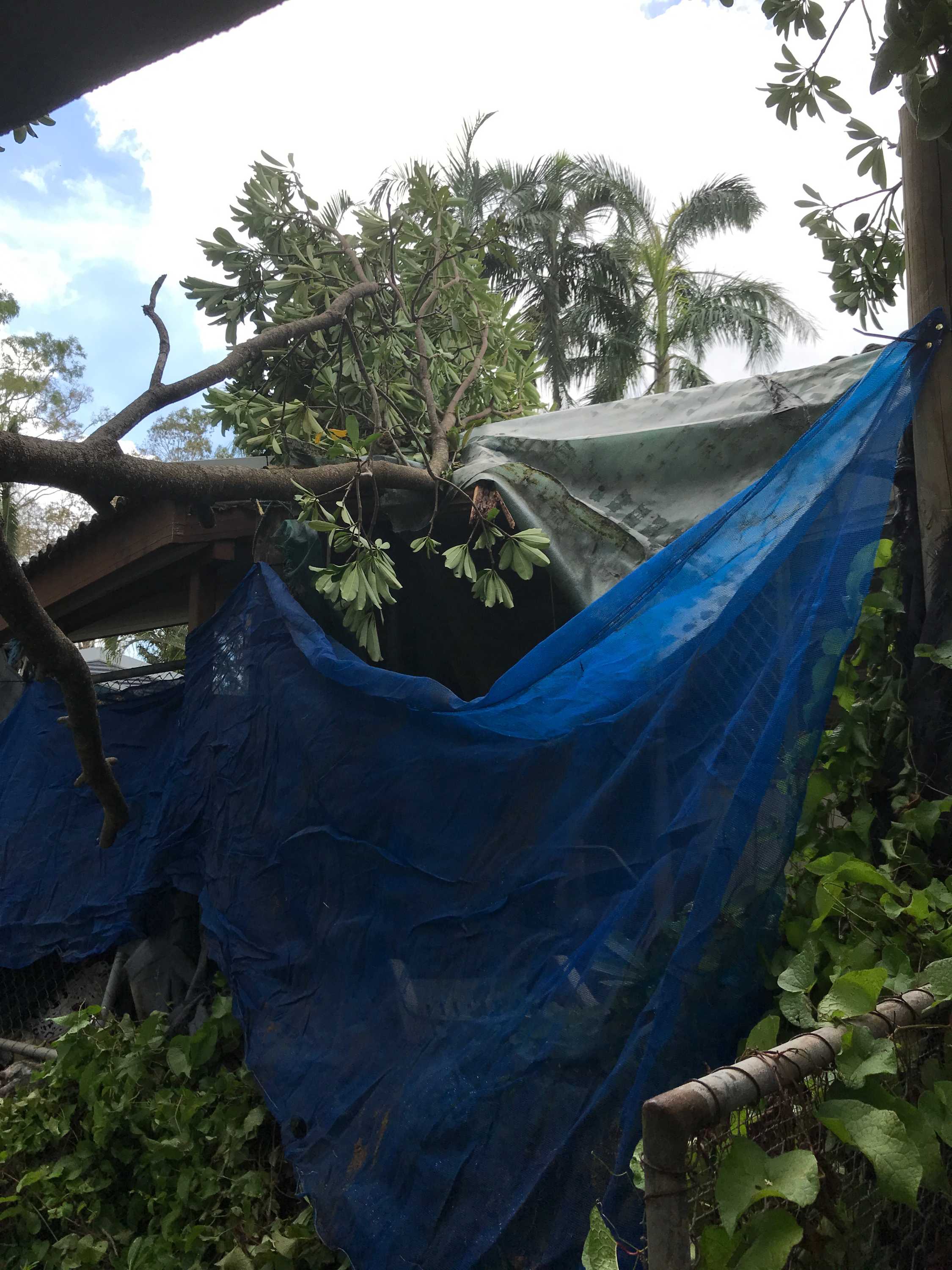 One year since Cyclone Marcus, the emotional impact of worst storm ...