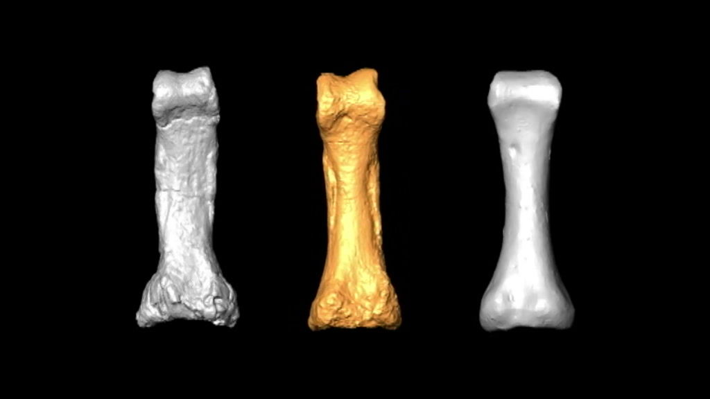 Early human fossil remains found in Philippines cave may herald new ...