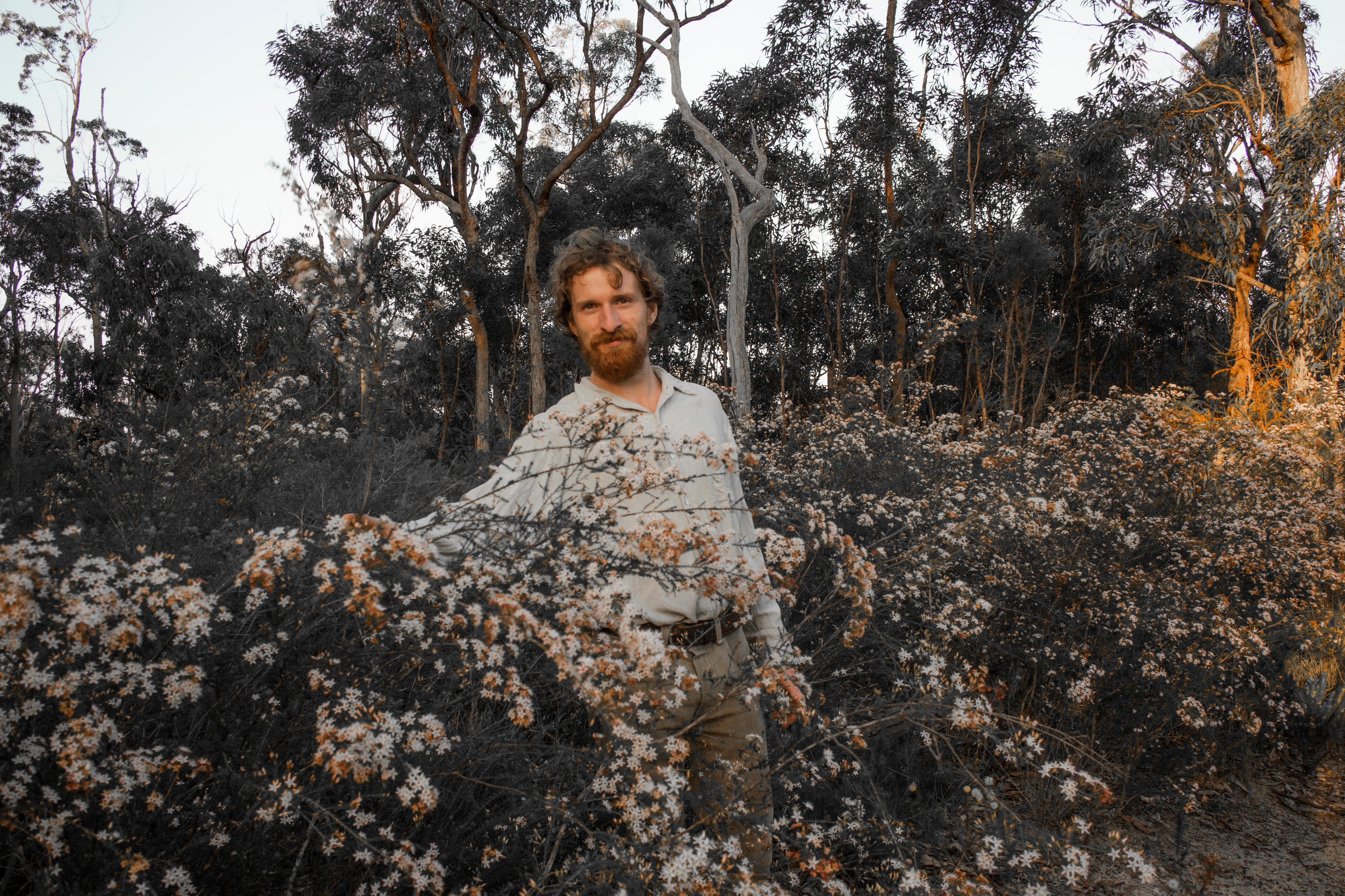 New Music on ABC Country - ABC Country