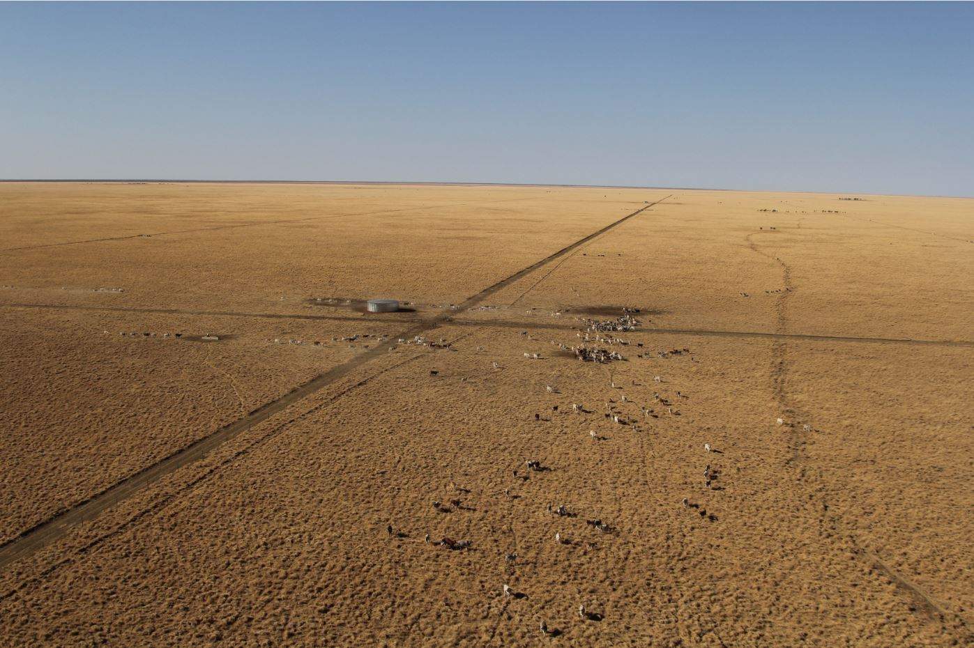 Massive water development underway at Top End station, with hopes to ...