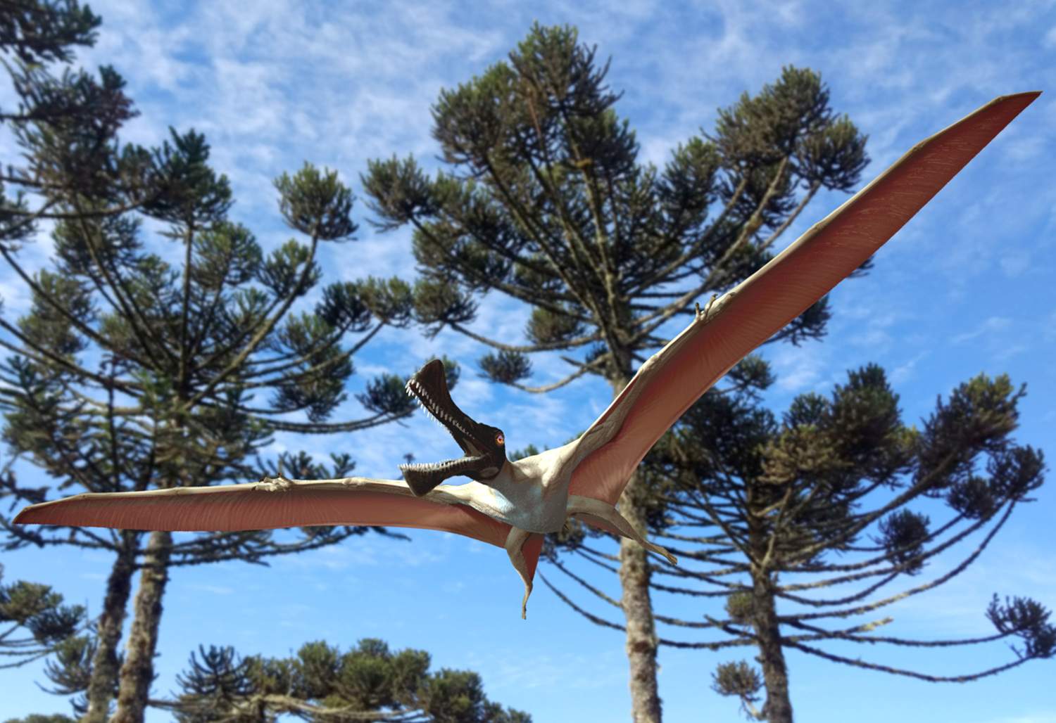 Pterosaurs evolved from small, wingless reptiles called lagerpetids ...