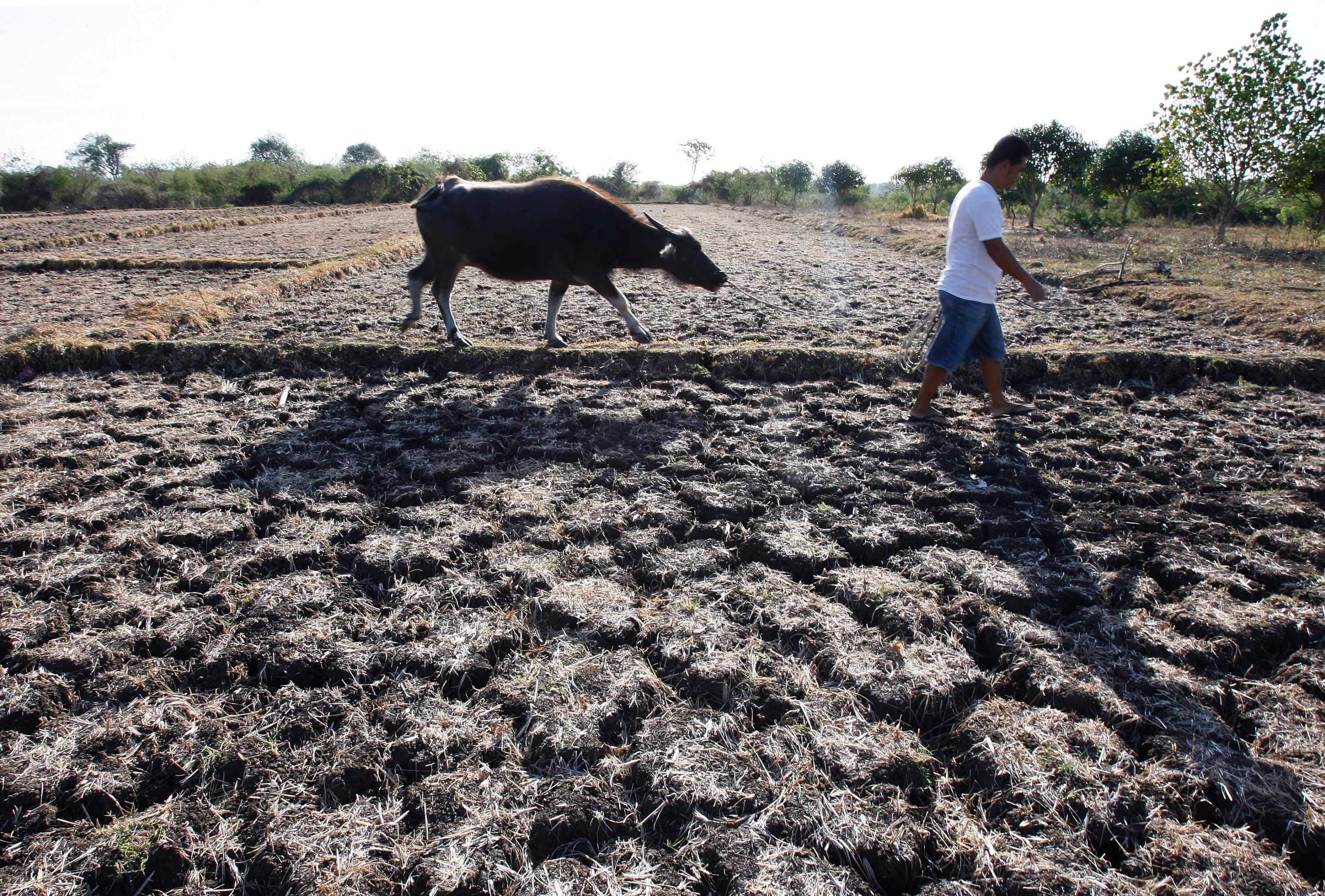 El Nino: The Philippines places eight provinces under state of calamity ...