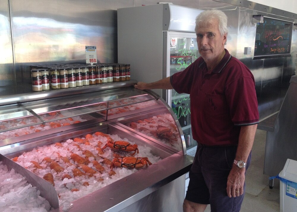 Fishermen await Gladstone Harbour inquiry results - ABC News