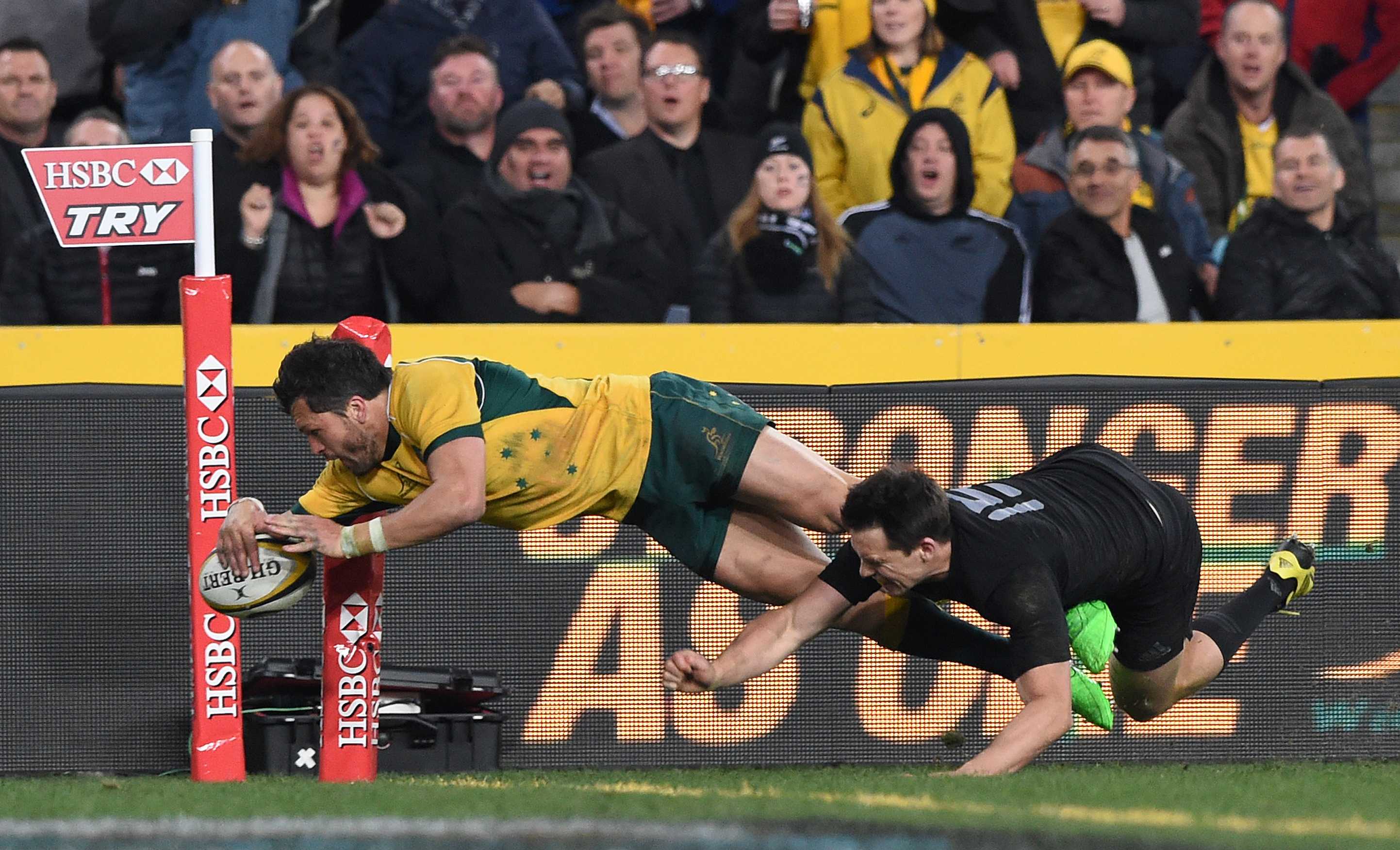 Wallabies beat All Blacks to claim Rugby Championship win and Bledisloe ...
