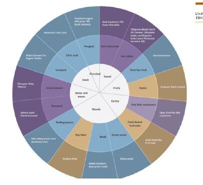 New tools to help the truffle industry find and grade truffles for ...