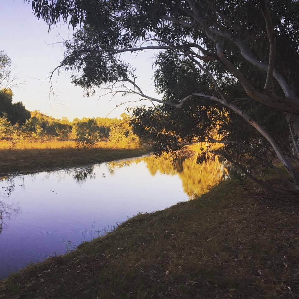 Headless crocodile found at Mount Isa lake, police investigating - ABC News