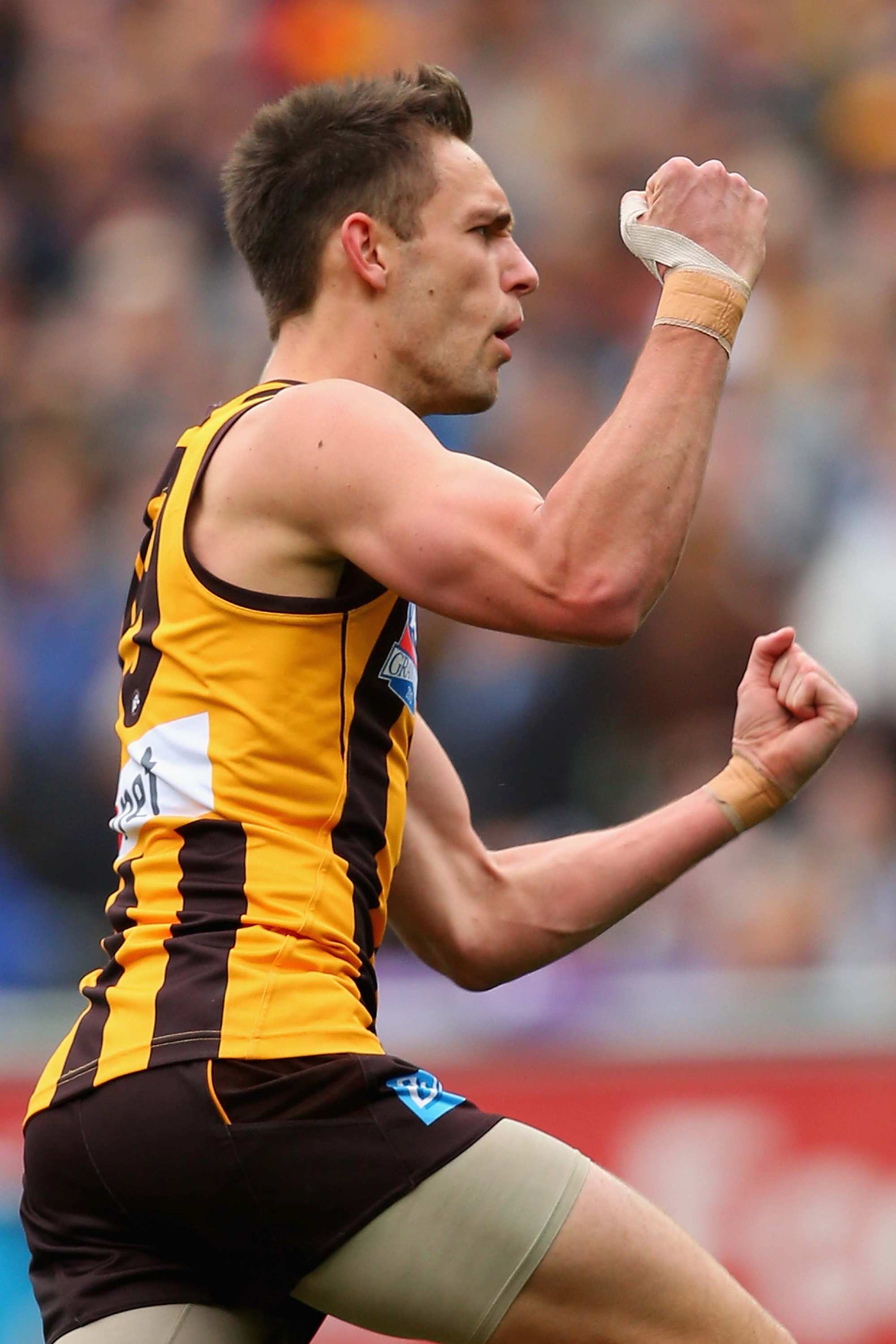 Hawthorn loses Jack Gunston to a knee injury for up to three weeks ...
