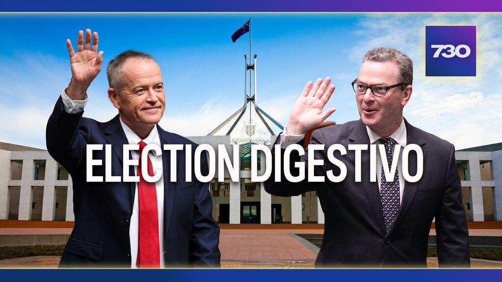 Bill Shorten and Christopher Pyne dissect the election outcome - ABC News