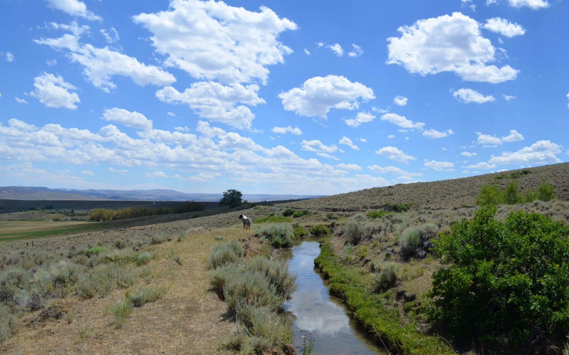 How do clouds form, and what do different clouds tell us about the ...