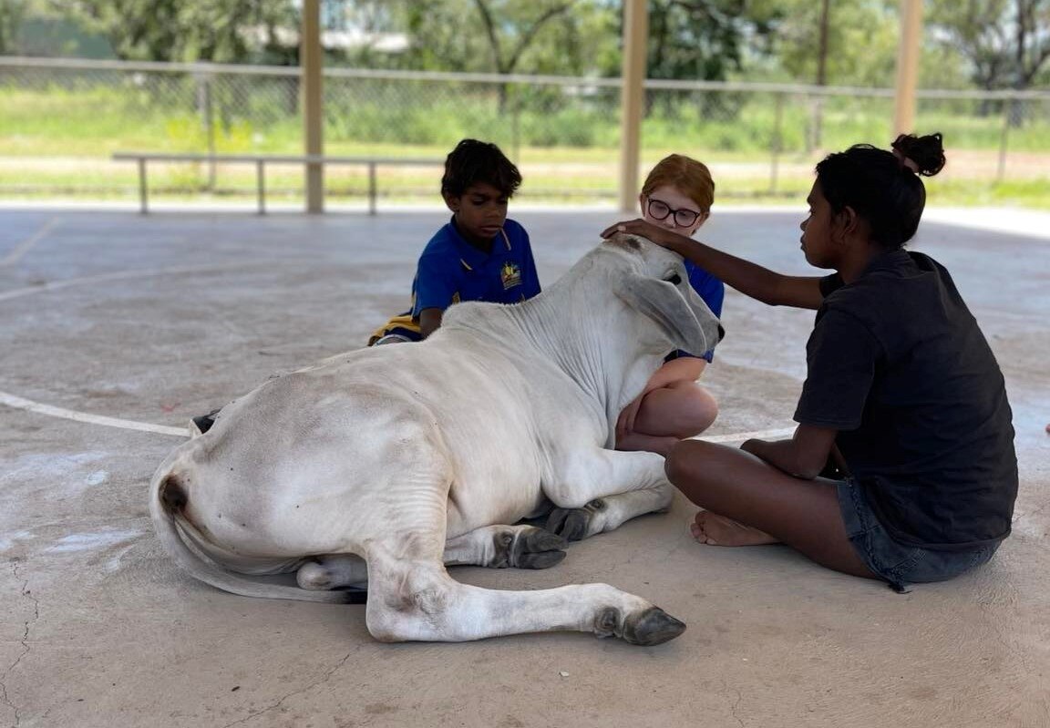Ghost the calf 'looks for cuddles', wins hearts at remote Kimberley ...