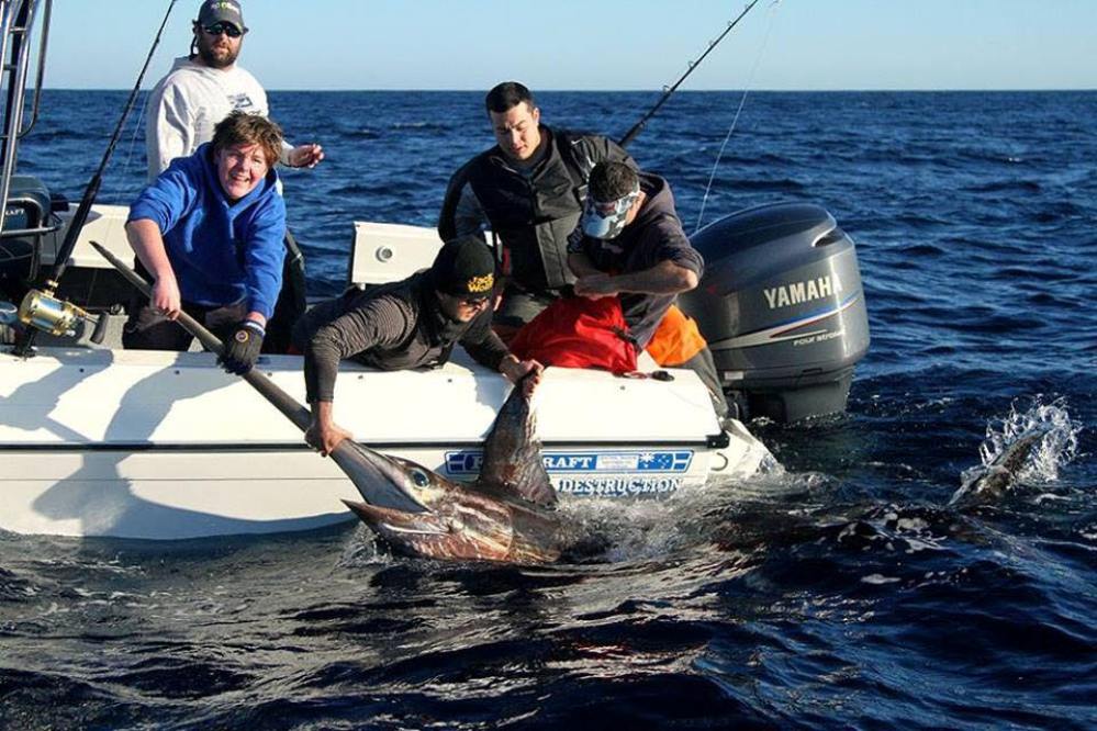 Australia's first swordfish recreational fishery to open off Tasmania's ...