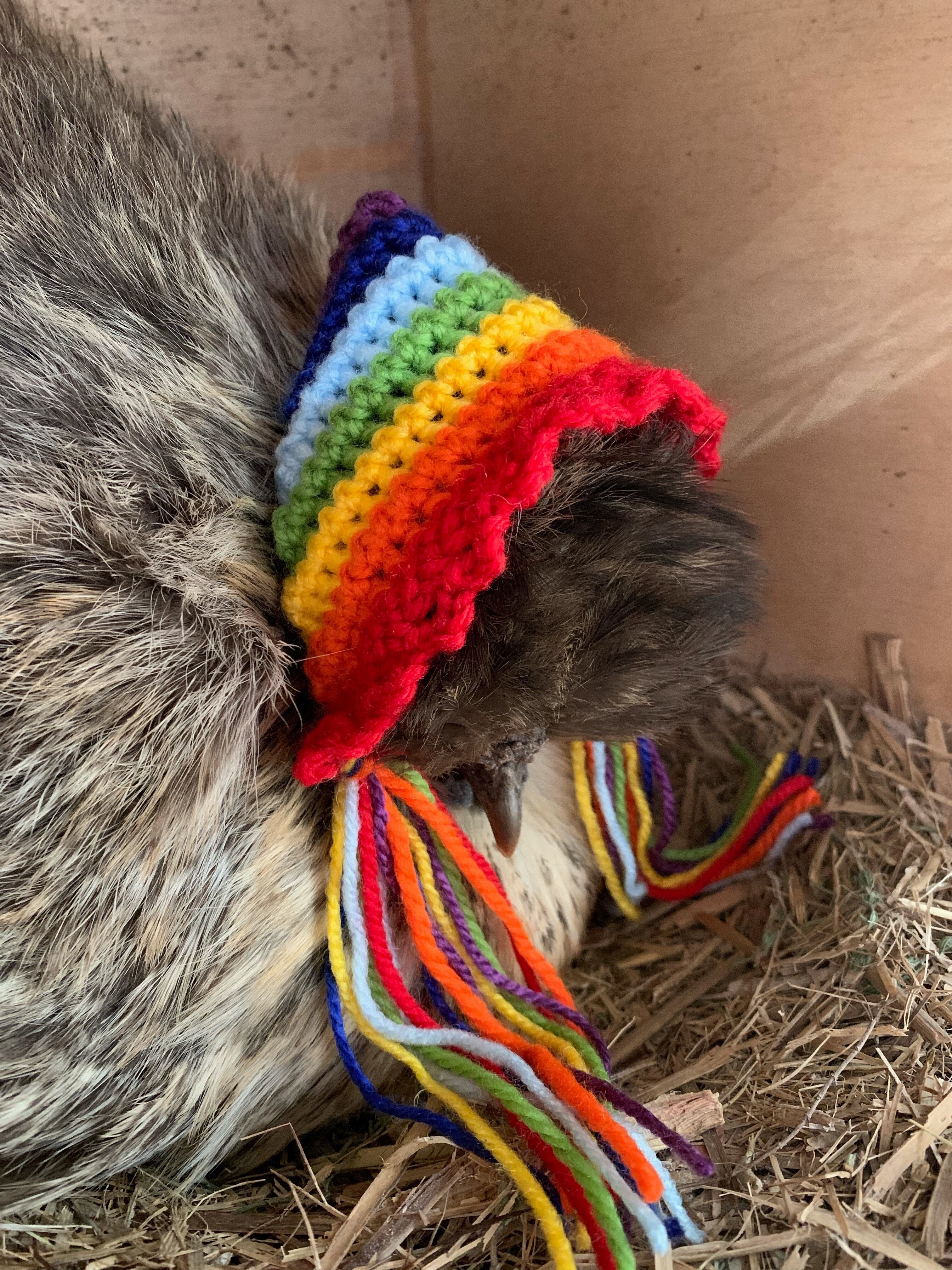 Chicken Hat Crochet Pattern