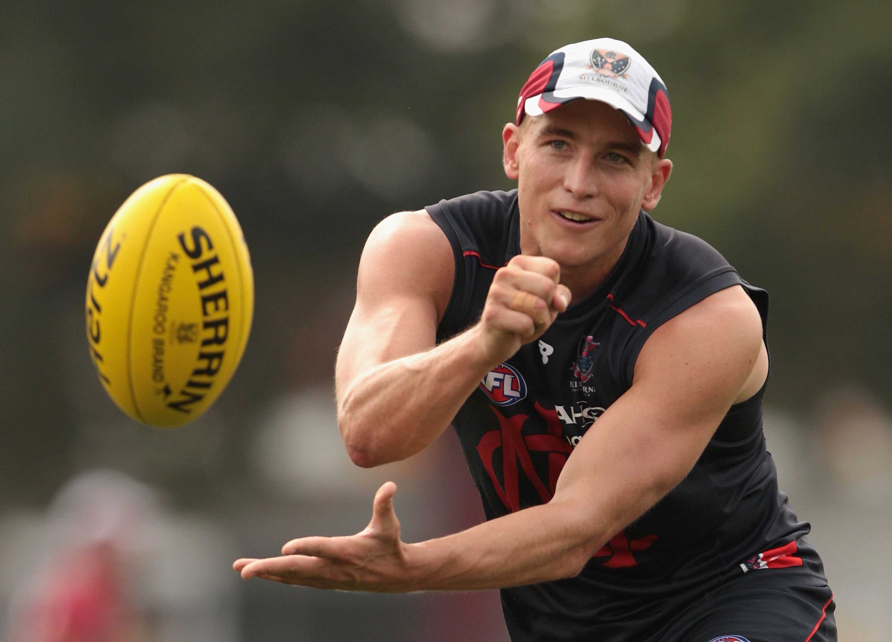 2014 AFL season preview: It's Swans, Hawks, Dockers again - ABC News