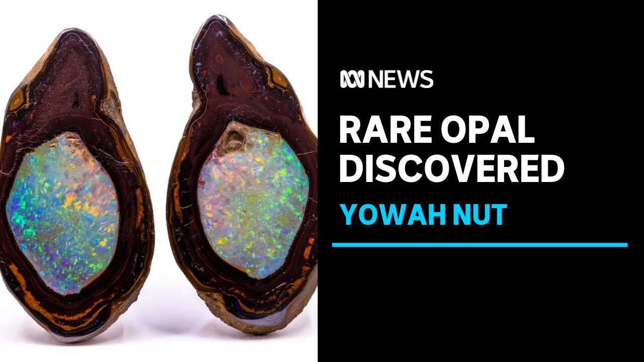 Rare 'Yowah nut' opal discovered in outback Queensland - ABC News
