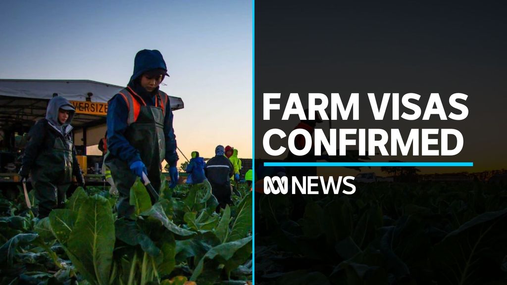 Farmers will soon have access to a new workforce - ABC News