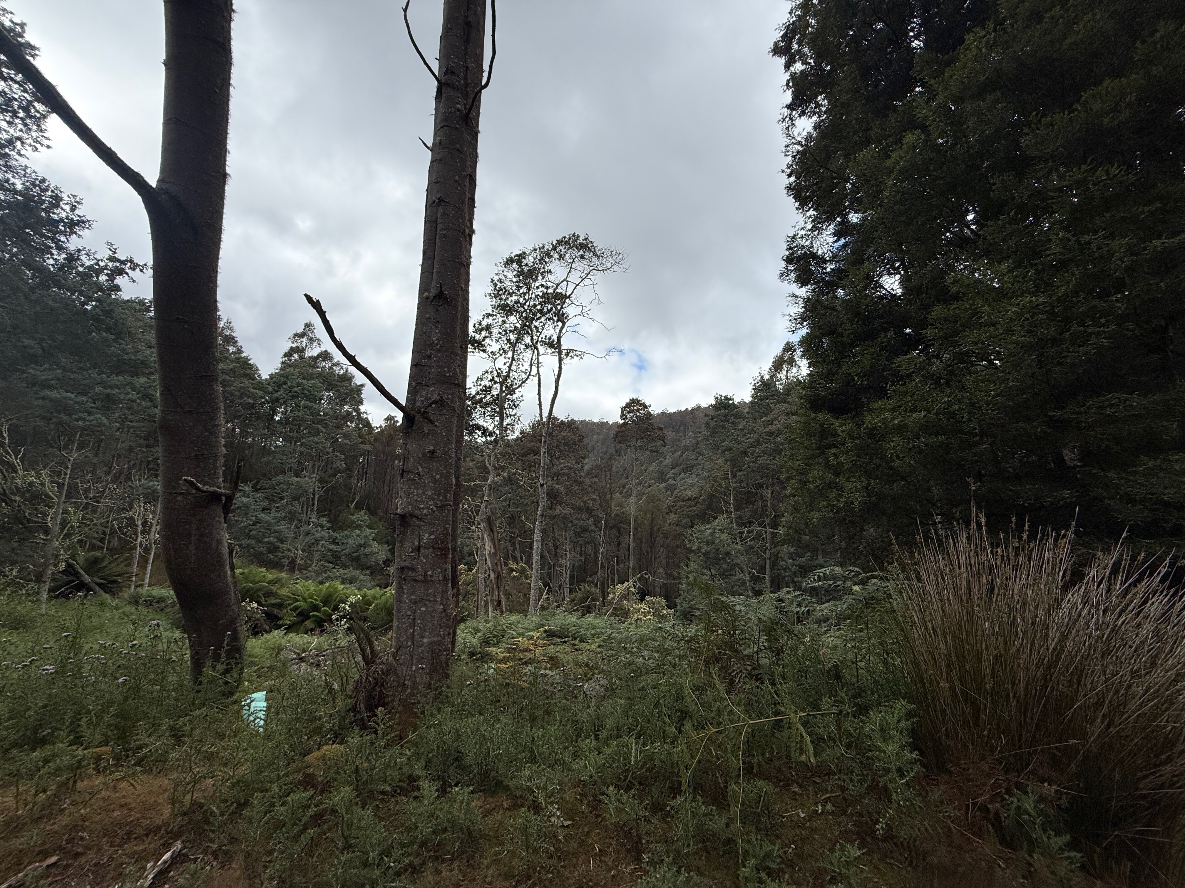 Private landholders hand three blocks in Tasmania to Aboriginal Land ...