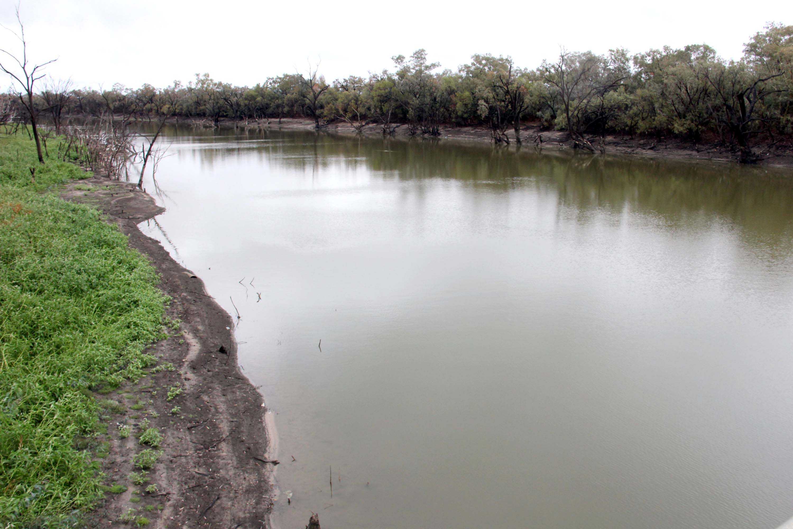 Queensland Country Hour - ABC listen