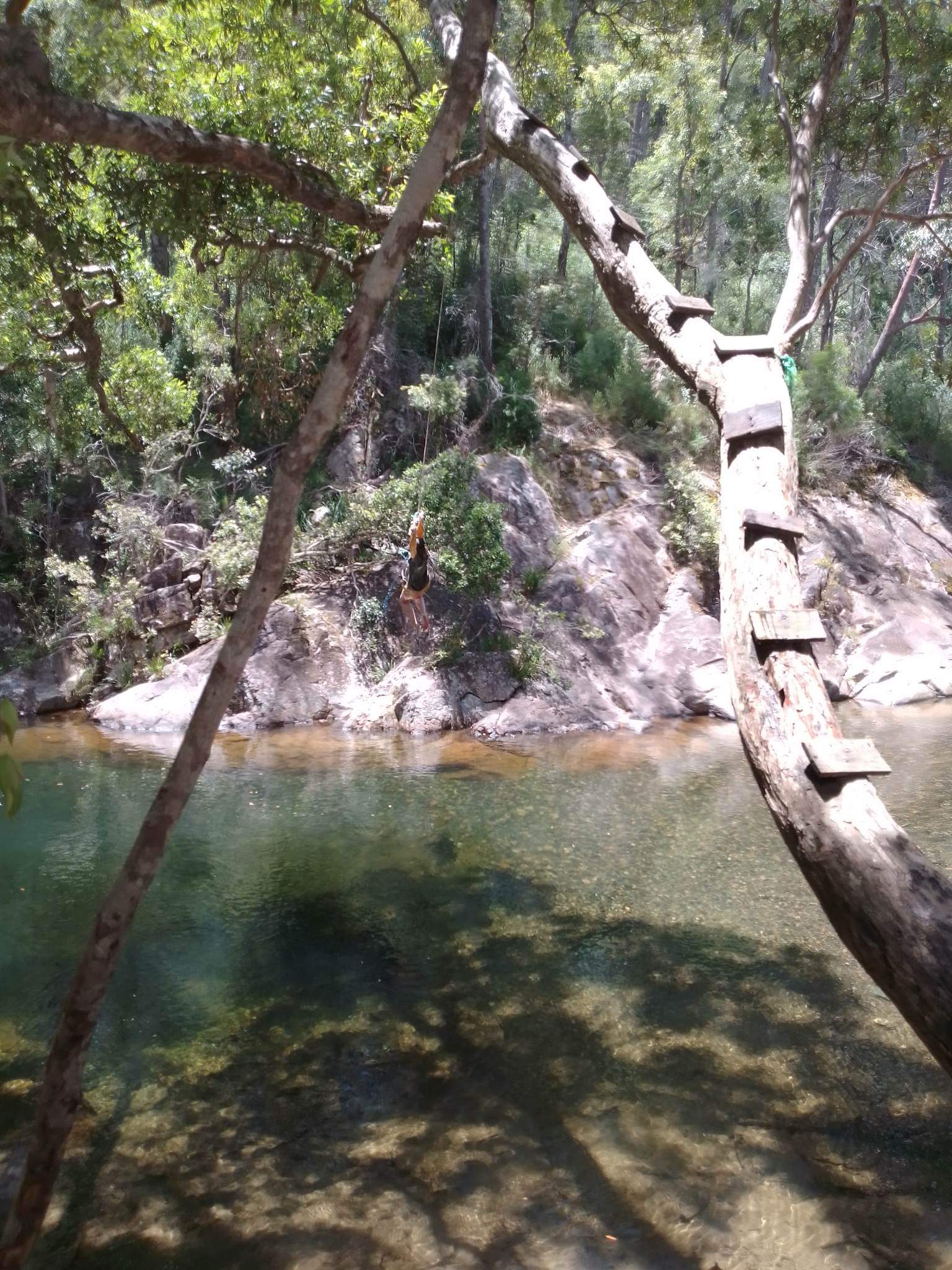Family spends Christmas night stranded in NSW's Mount Boss forest after ...