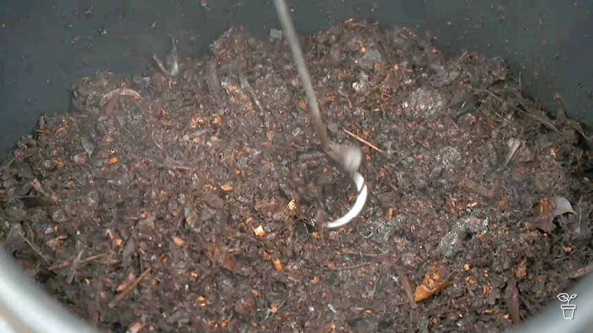 Top Tip: Soil Biodiversity - Gardening Australia