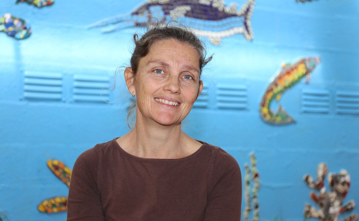 Steiner schools rising in popularity Australia-wide - ABC News