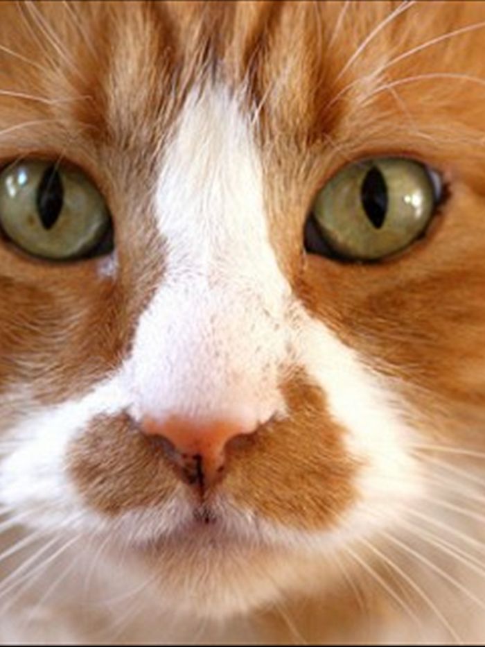 British PM to make public apology to the Queen after protocol gaffe ...