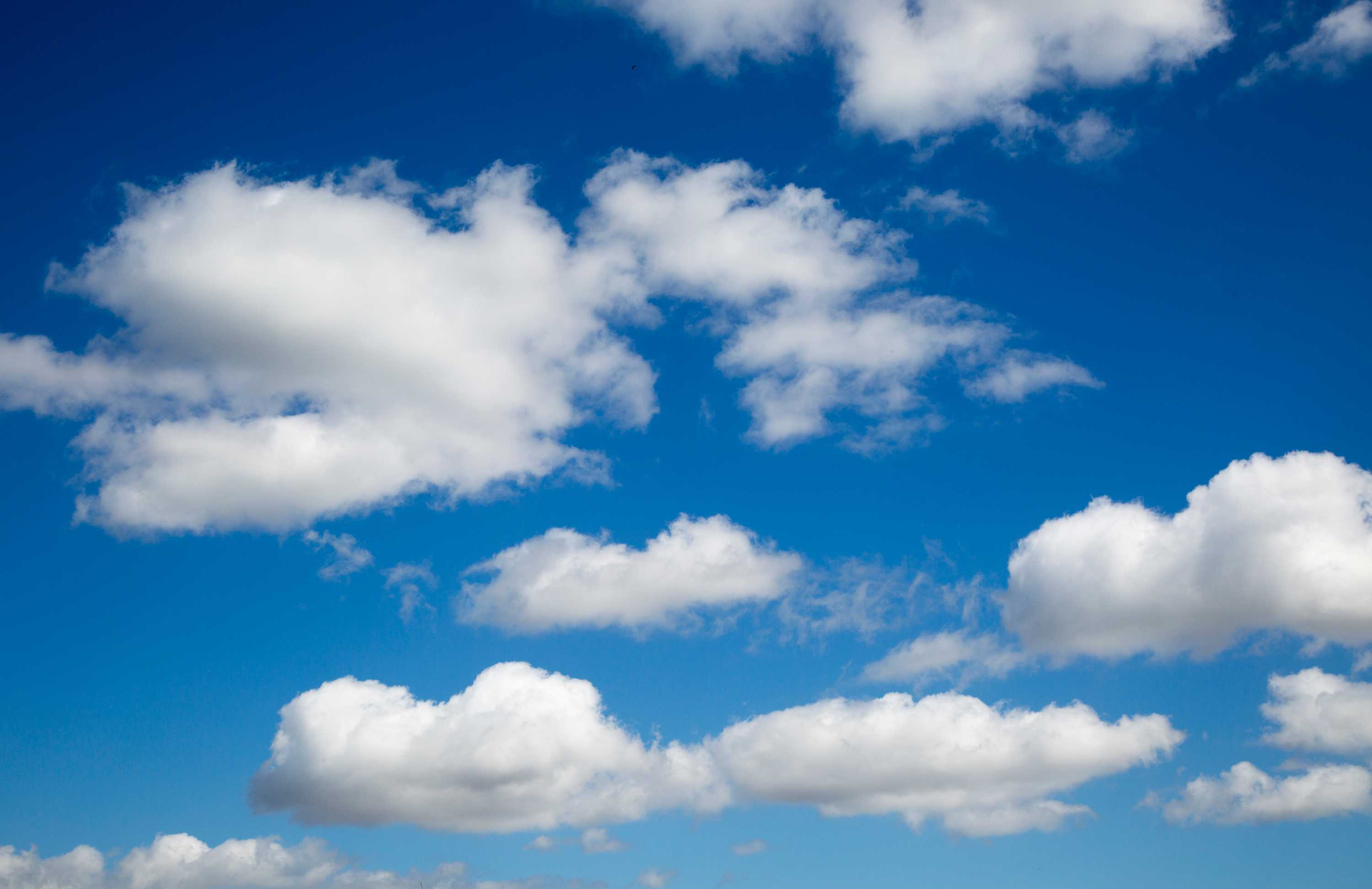 Blue - ABC Radio National