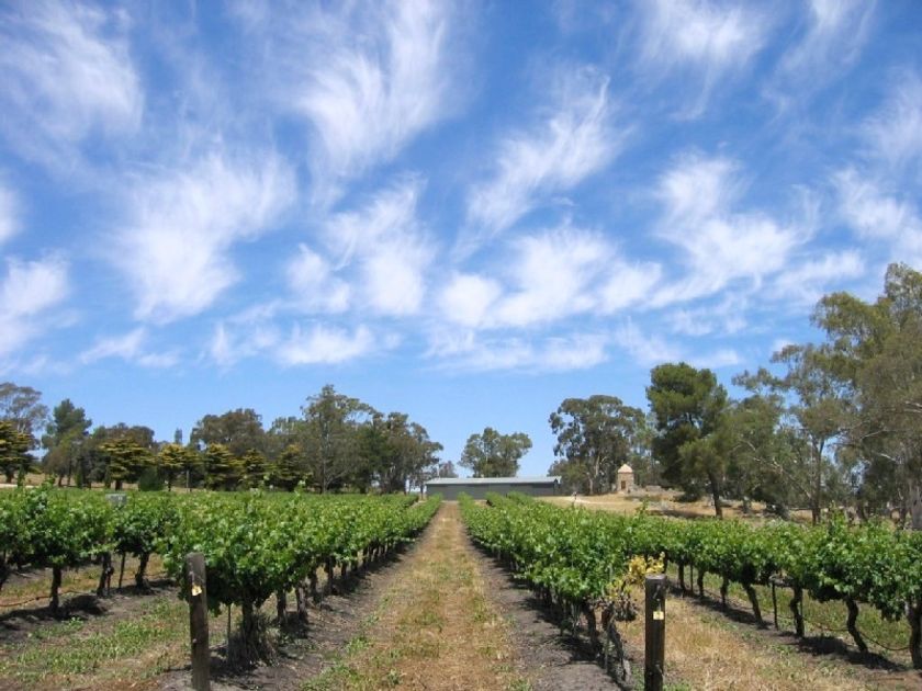 Warning over harvest injuries - ABC News