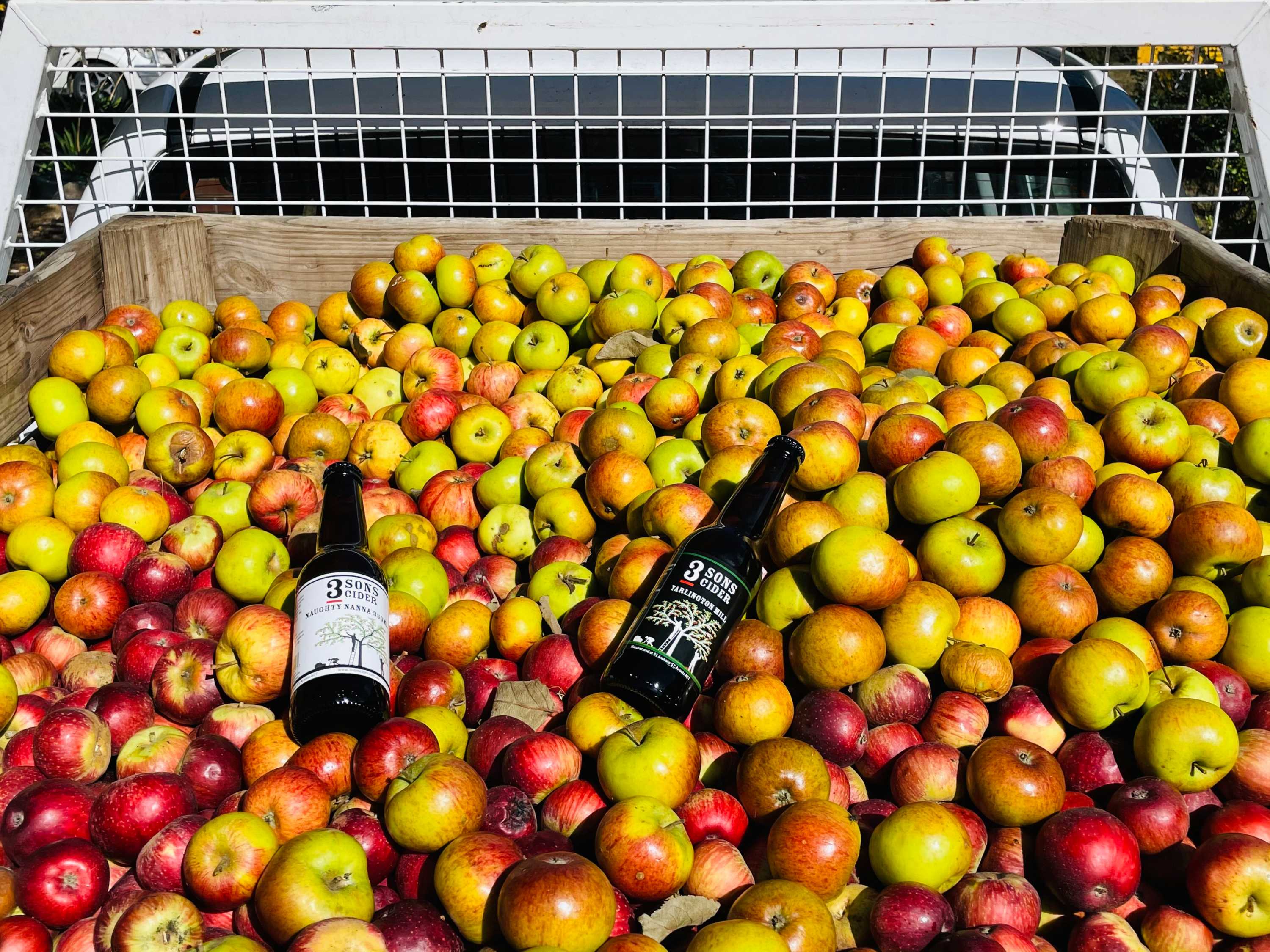How a Canberra engineer became an artisan cider producer - ABC Canberra