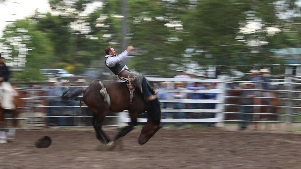 Dee Heinemann bareback riding at the Wingham Summertime Rodeo in New ...