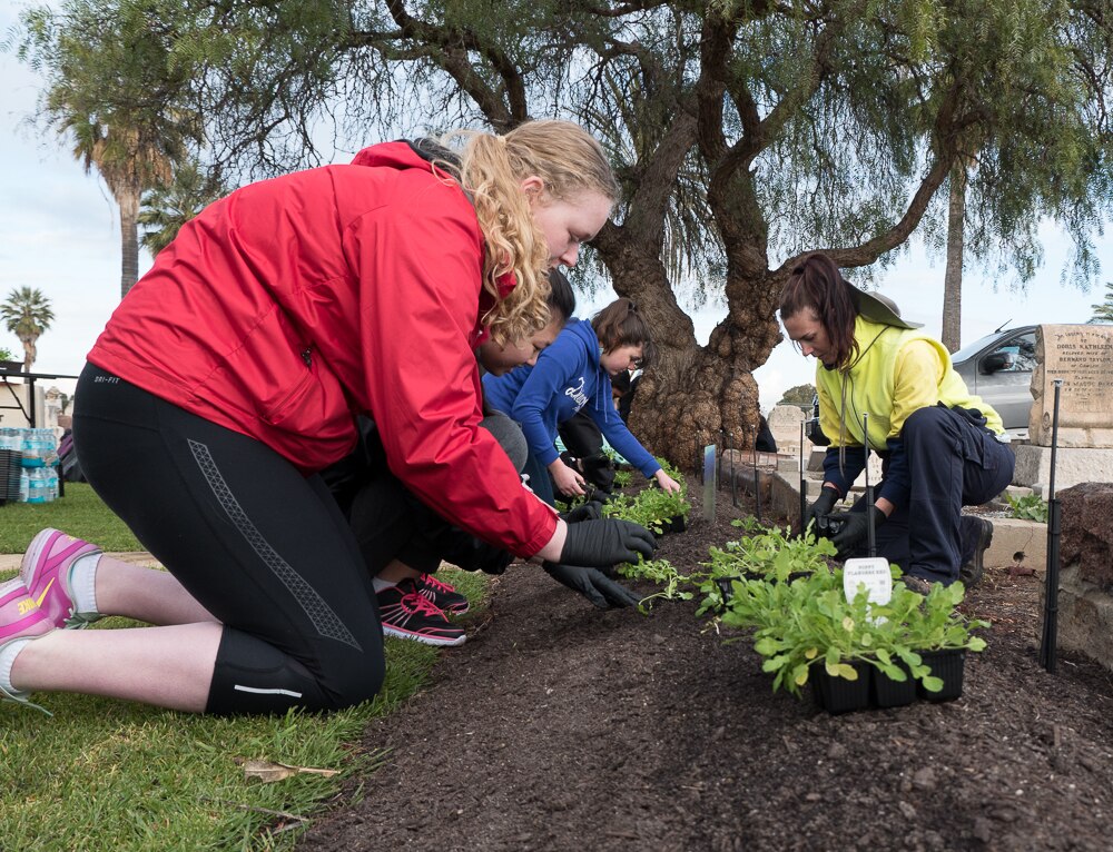 Anzac diggers honoured by Adelaide High School students at West Terrace ...