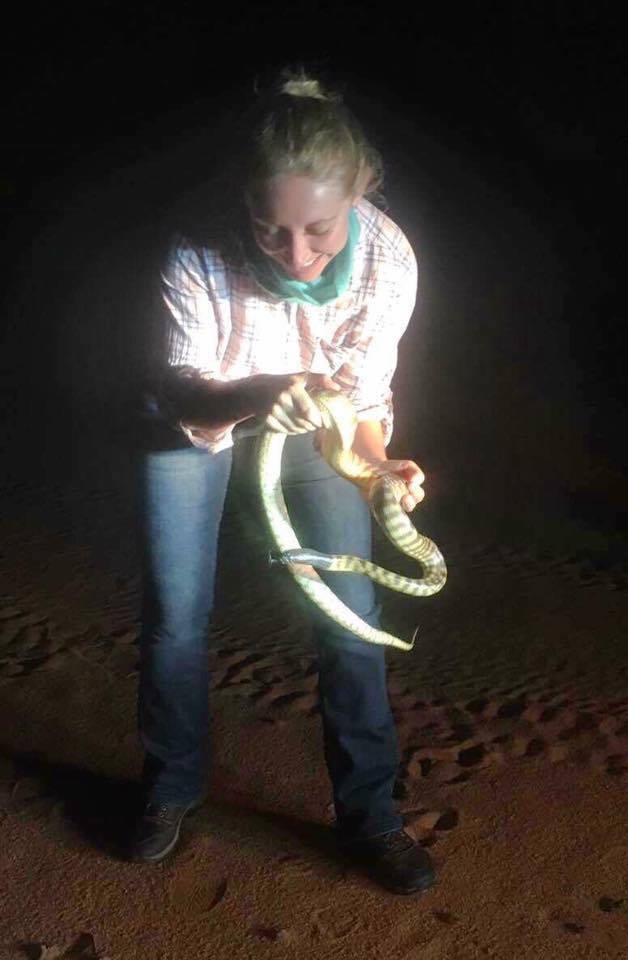 Deadly snake handling in outback Queensland is a dream for this PhD student - ABC News