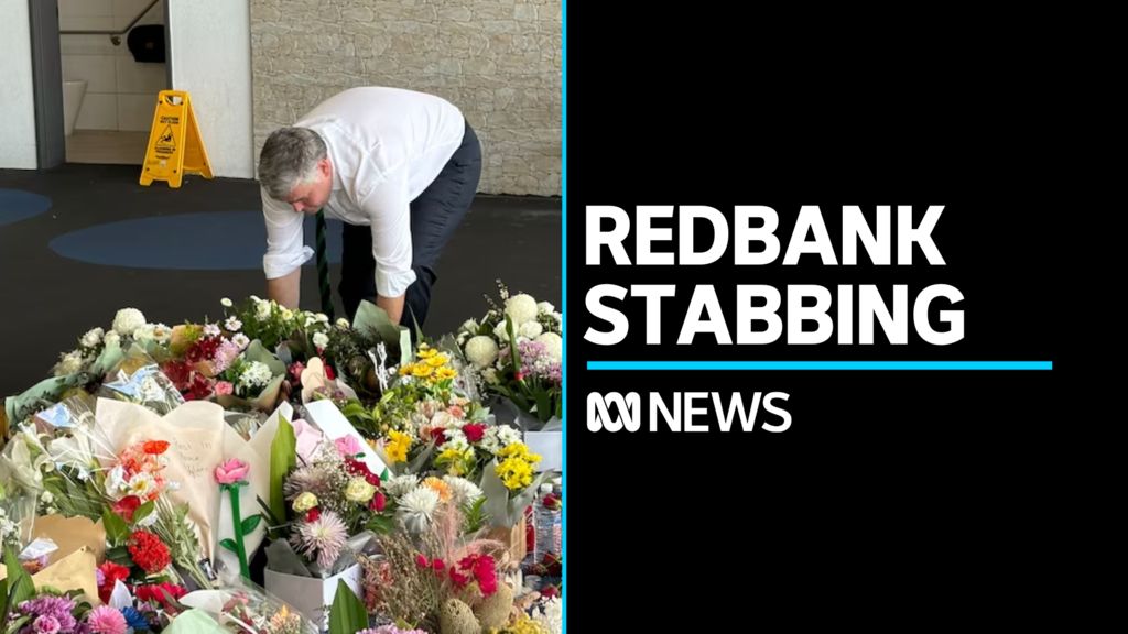 Fears of vigilantism in wake of Redbank grandma stabbing - ABC News