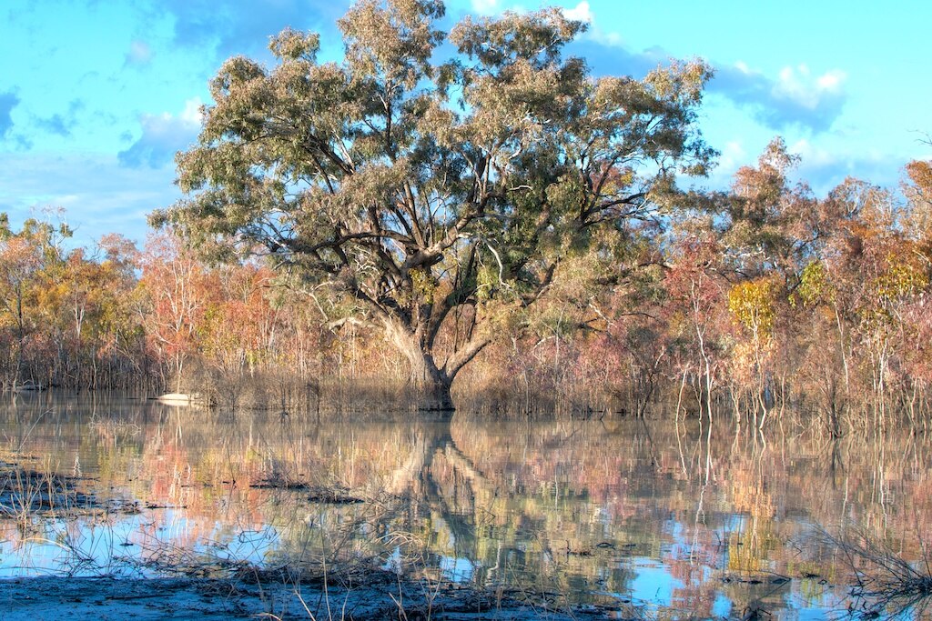 Discover music on and around Yuwaalaraay Country - ABC listen