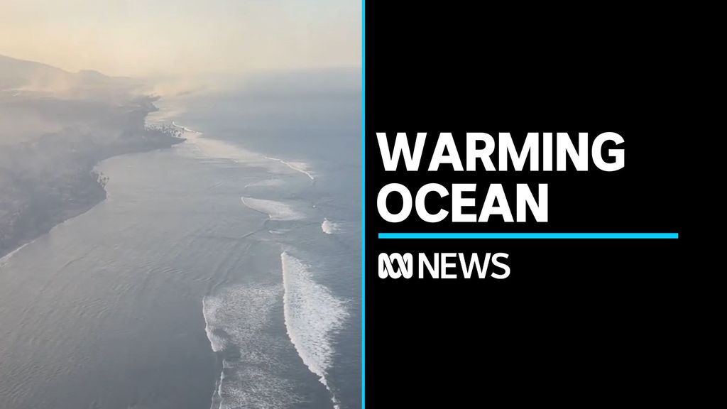 Australia braces for 'harsh summer' as ocean temperature warms - ABC News