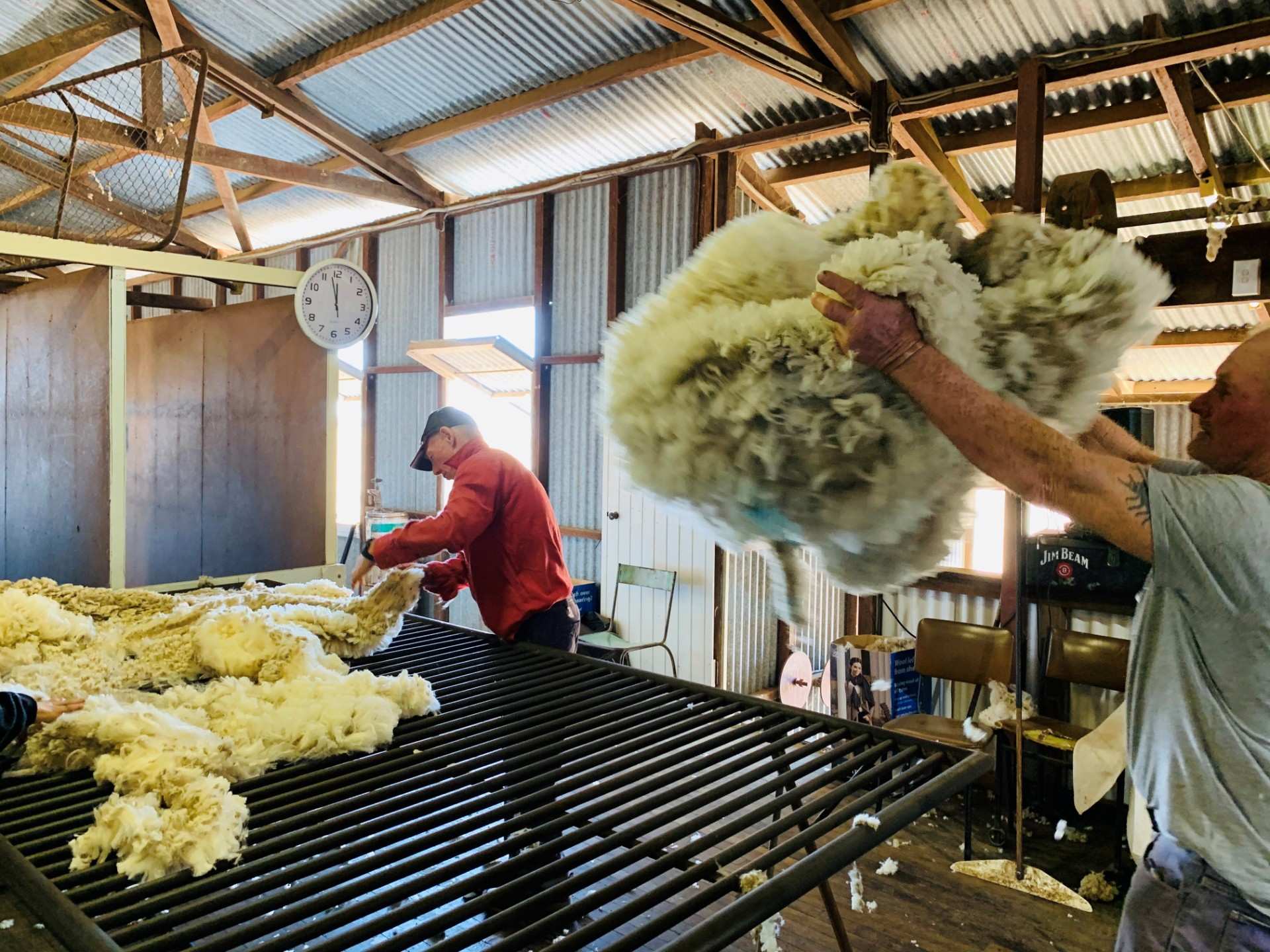 Wool makes a long-awaited return to outback Queensland - ABC News