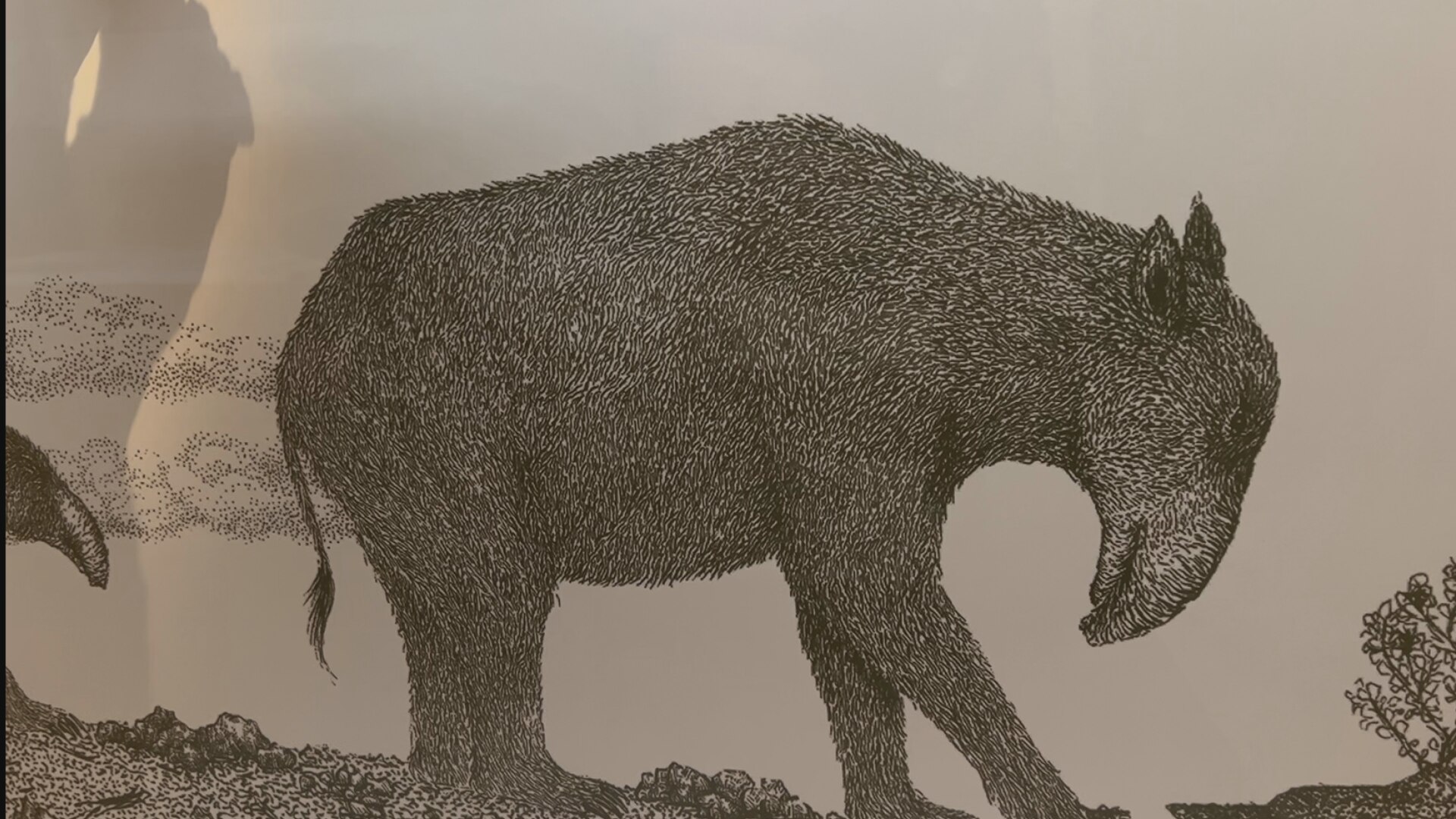 Palorchestes was a blind, sharp-toothed creature with a trunk that ...